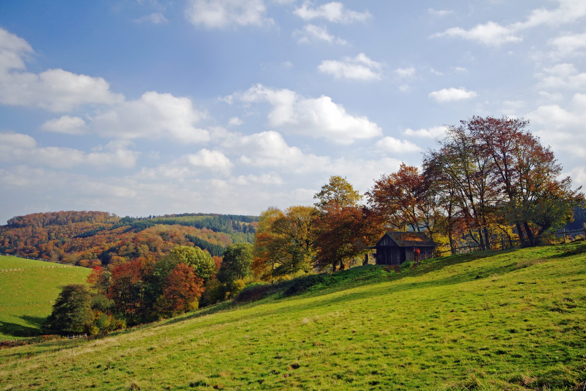Farmland Values Remain Steady - Mid-West Farm Report Farmland Values Remain Steady - Mid-West Farm Report