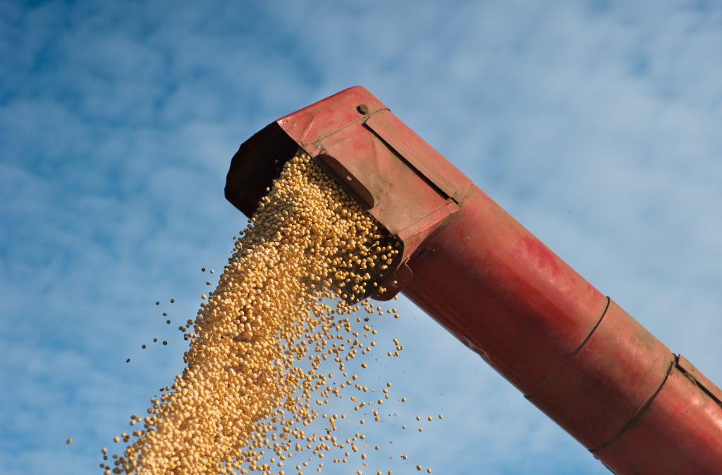 Grain Moisture High Last Week Due to Cold Weather - Mid-West Farm Report