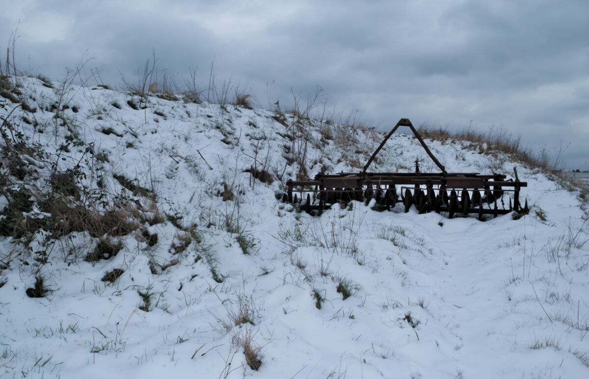 Winter Storms To Impact Cattle Markets - Mid-West Farm Report