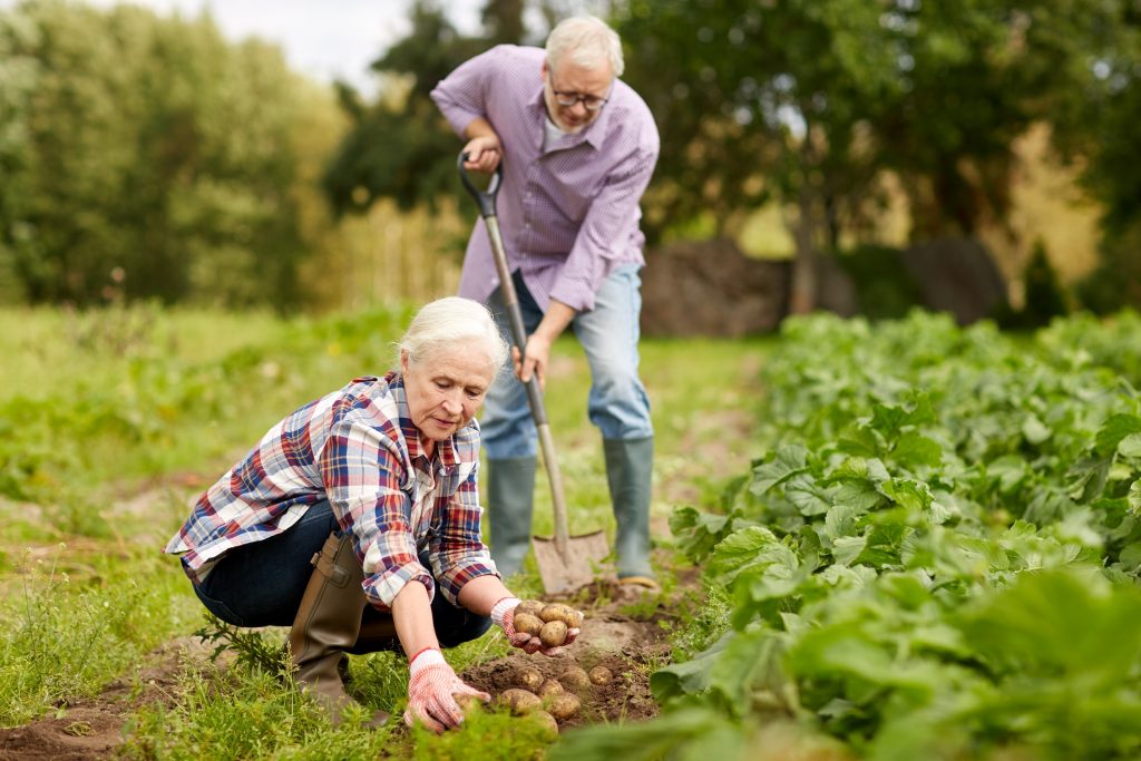 Mitigating Back and Joint Pain - Mid-West Farm Report