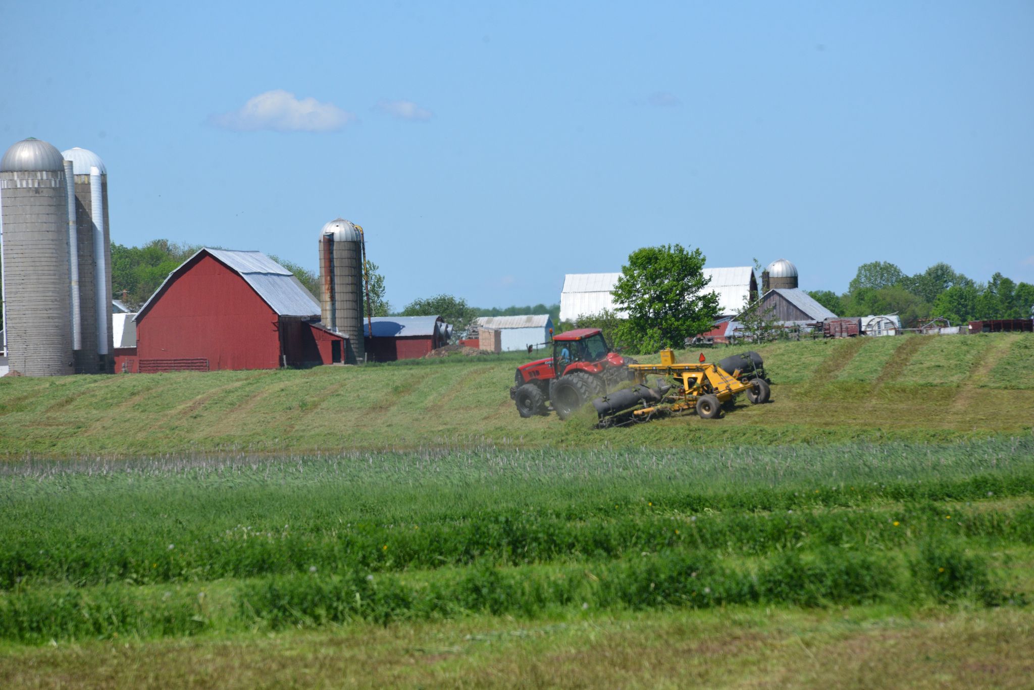 Confidence In WI Crops Improves - Mid-West Farm Report