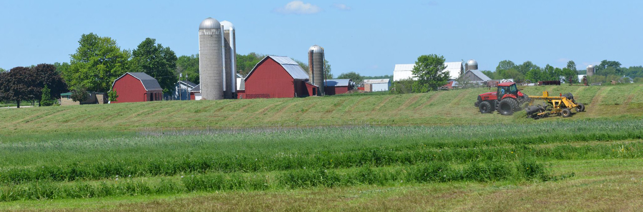 So How Much Will Standing Hay Be Worth? - Mid-West Farm Report