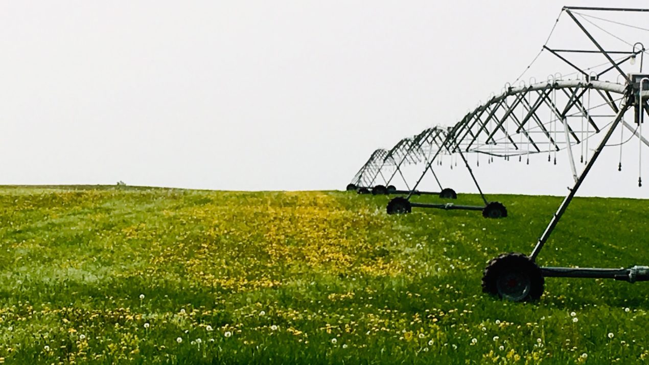 Irrigation gold - Mid-West Farm Report