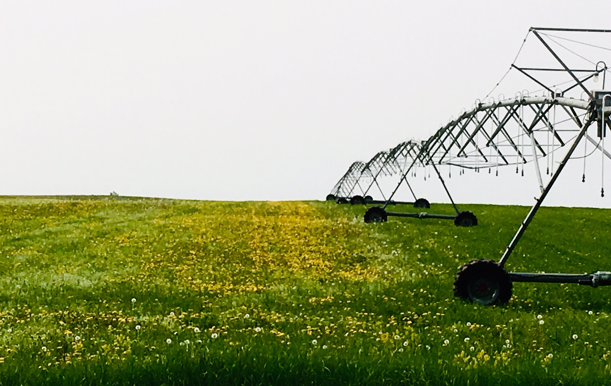 Irrigation gold - Mid-West Farm Report