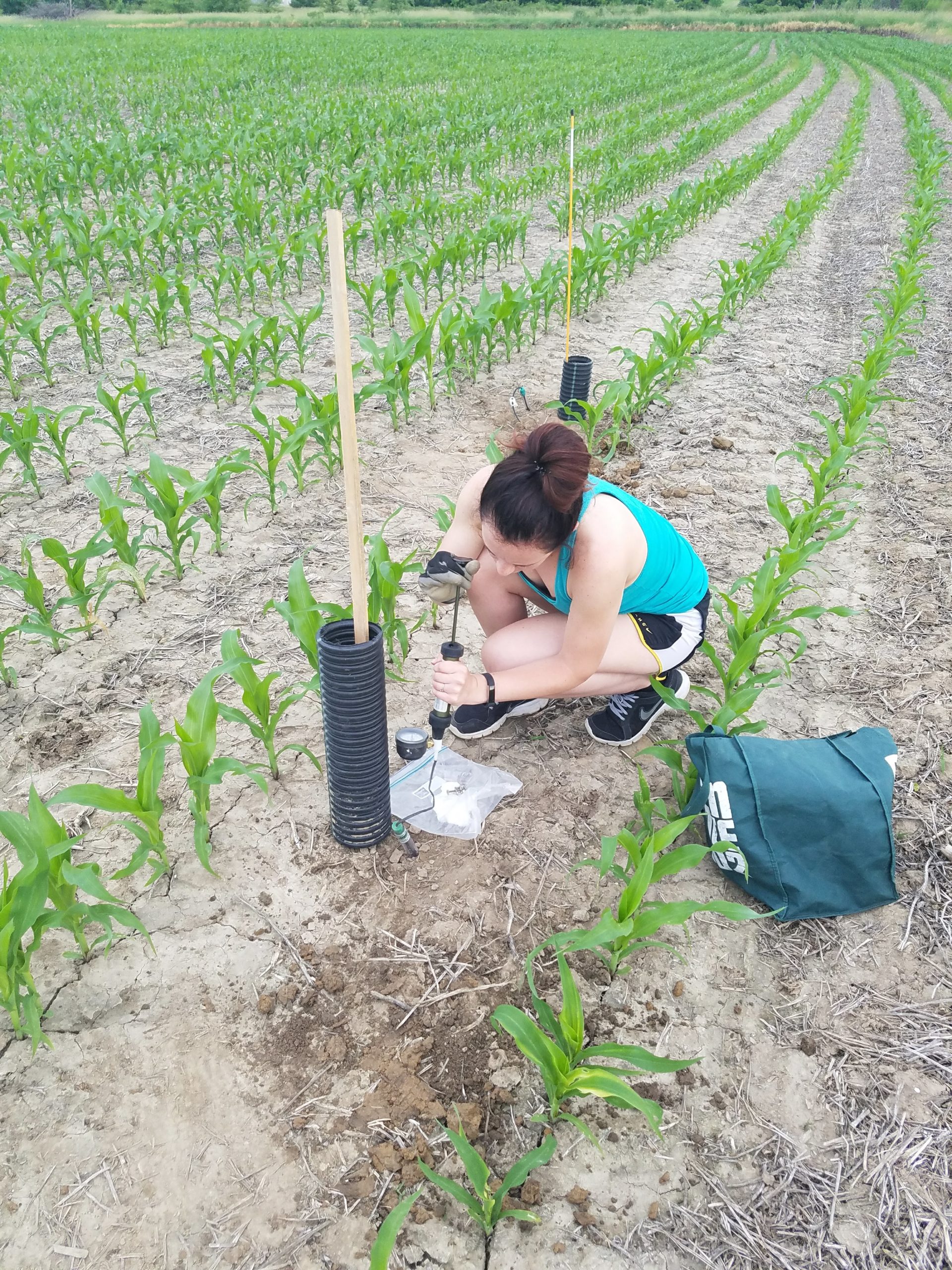 UW-River Falls well-testing partnership plays key role in watershed ...