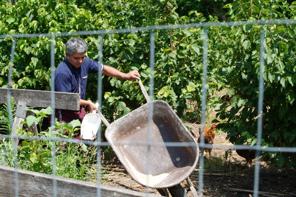 ‘Changemakers’ to be honored at MOSES organic farming conference - Mid ...