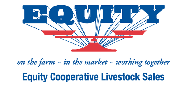 Equity Logo