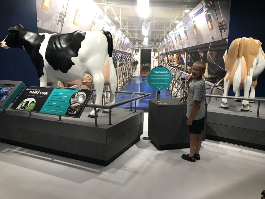 Farm Wisconsin Discovery Center seeks optimism in pandemic - Mid-West ...