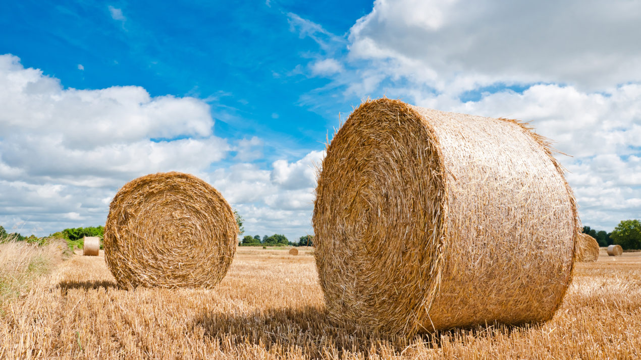 "There's Hay Out There," But Where and at What Cost? - Mid-West Farm Report
