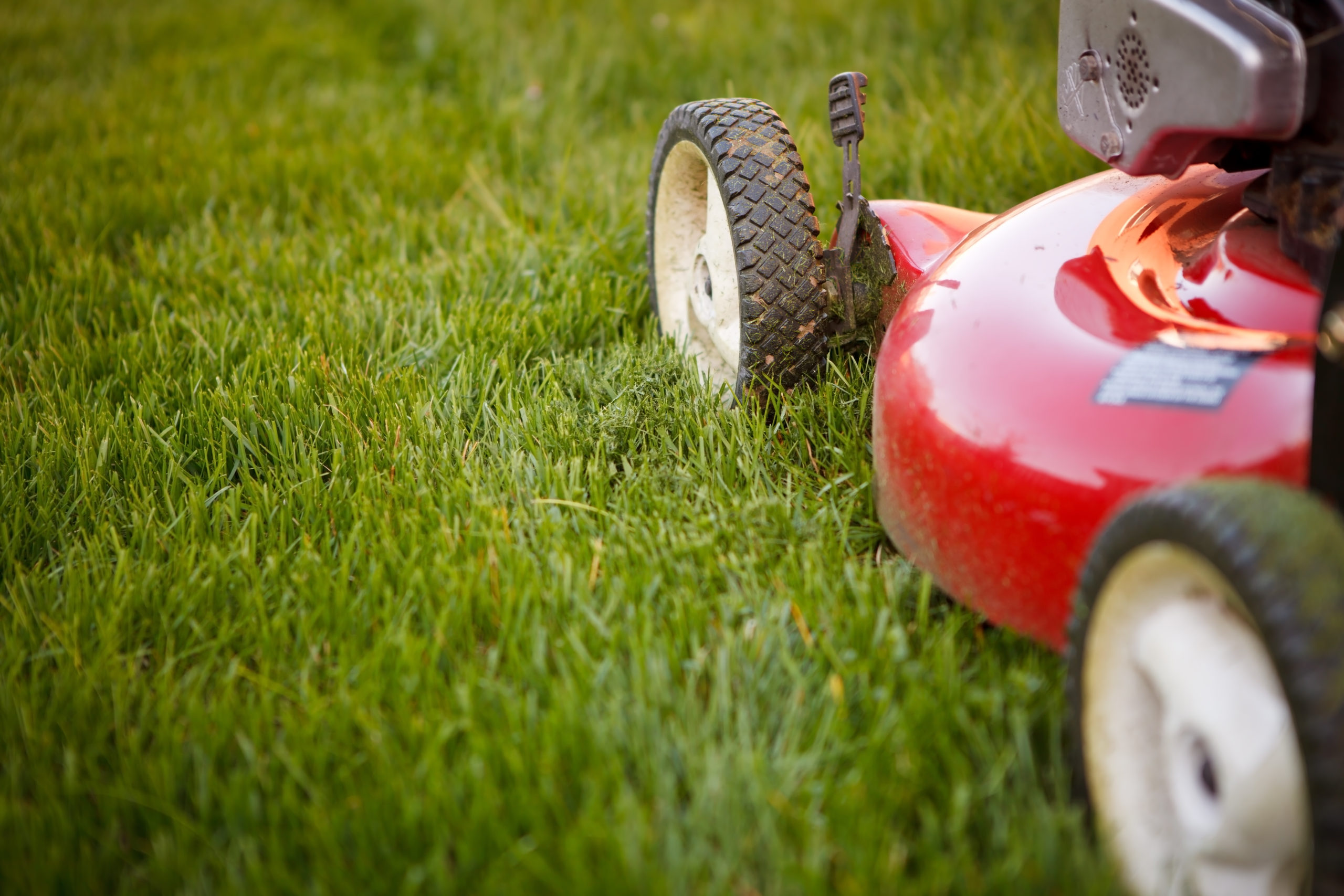 3 Easy Tips For A Perfect Lawn - Mid-West Farm Report