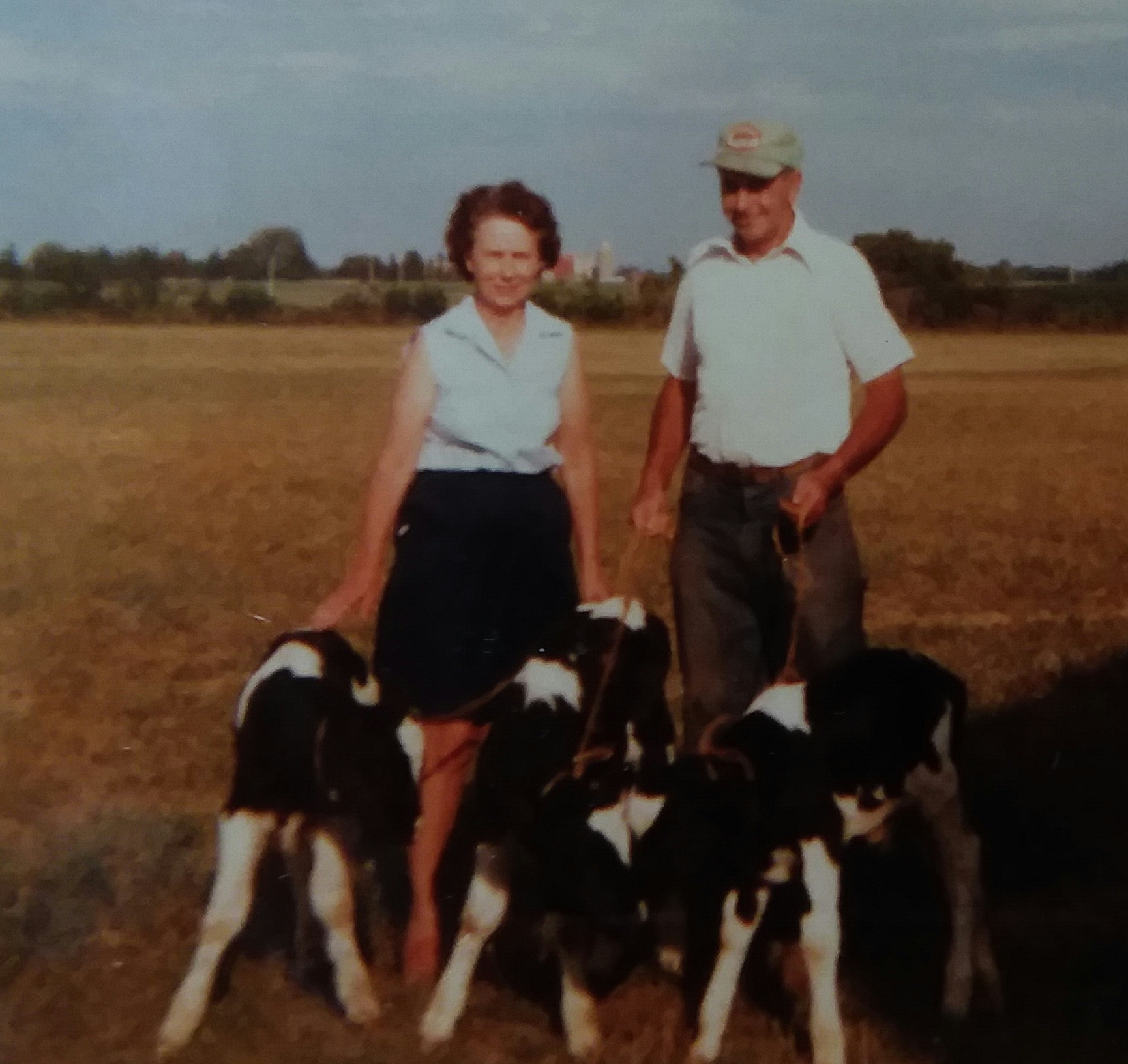 Century Farm Spotlight: Bales Family of West Bend - Mid-West Farm Report