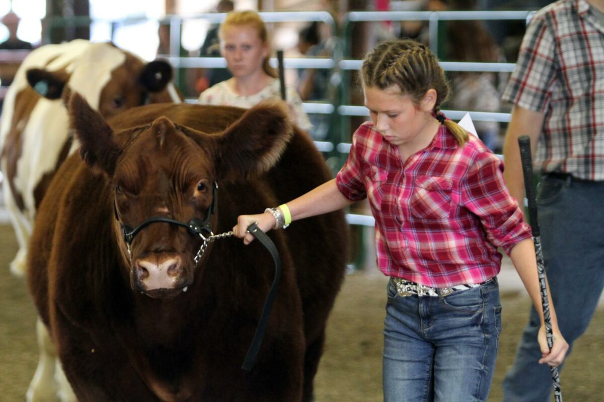 Keeping Wisconsin’s Fairs Thriving - Mid-West Farm Report