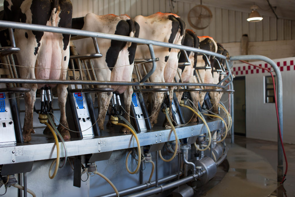 New Farmers.gov Website Launched to Help Farmers Hire Workers - Mid ...