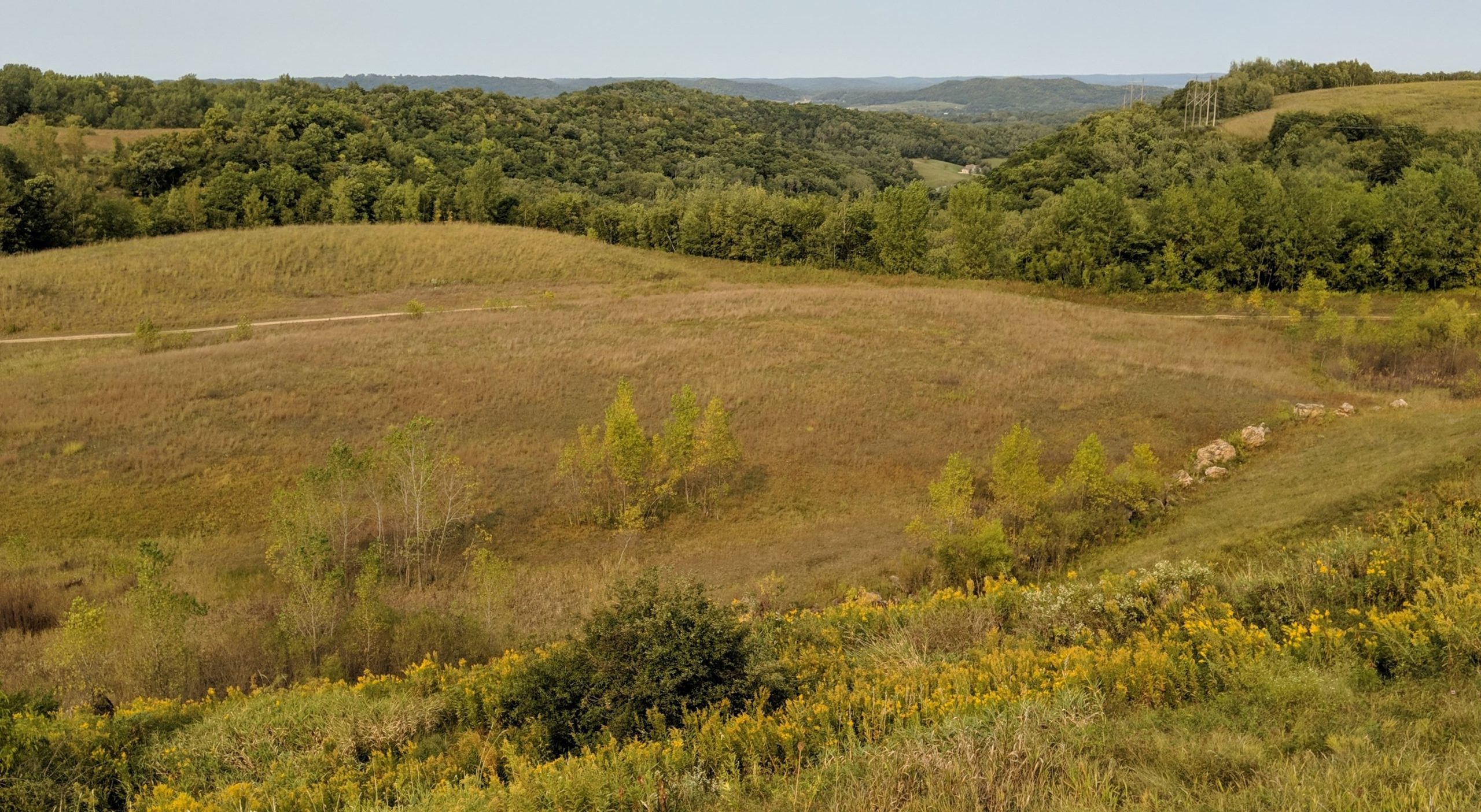 Friends of Blufflands earns $4,000 to help restore native prairie - The ...