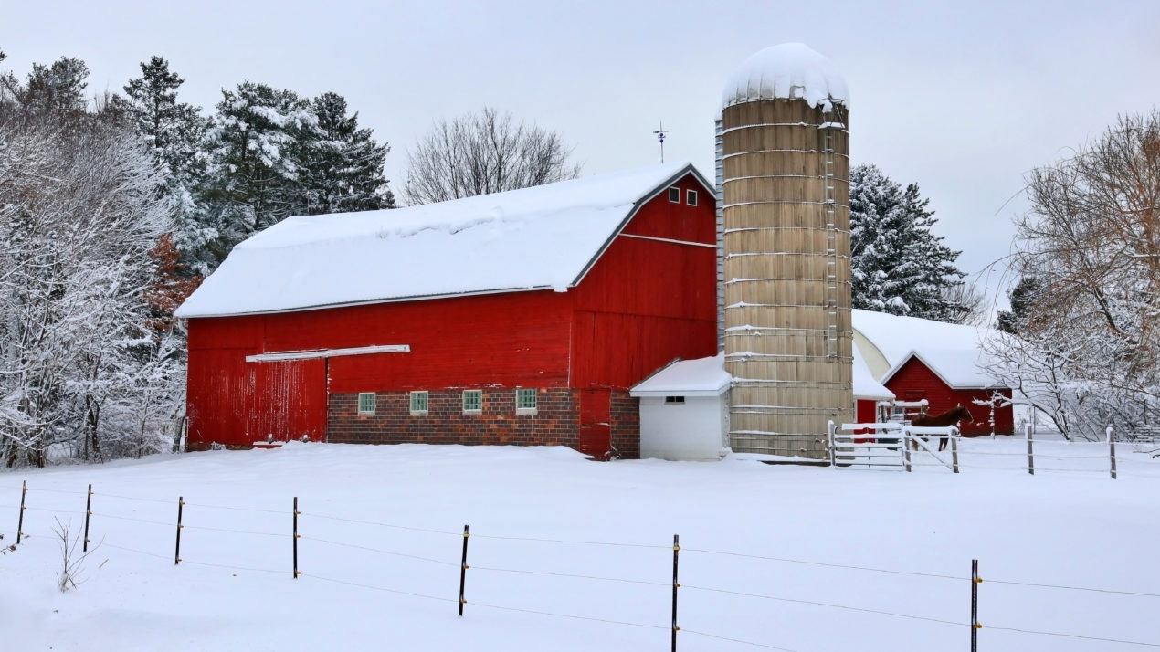 Maple Leaf Cooperative Launches Go Fund Me to Help Pay Winter Bills at ...