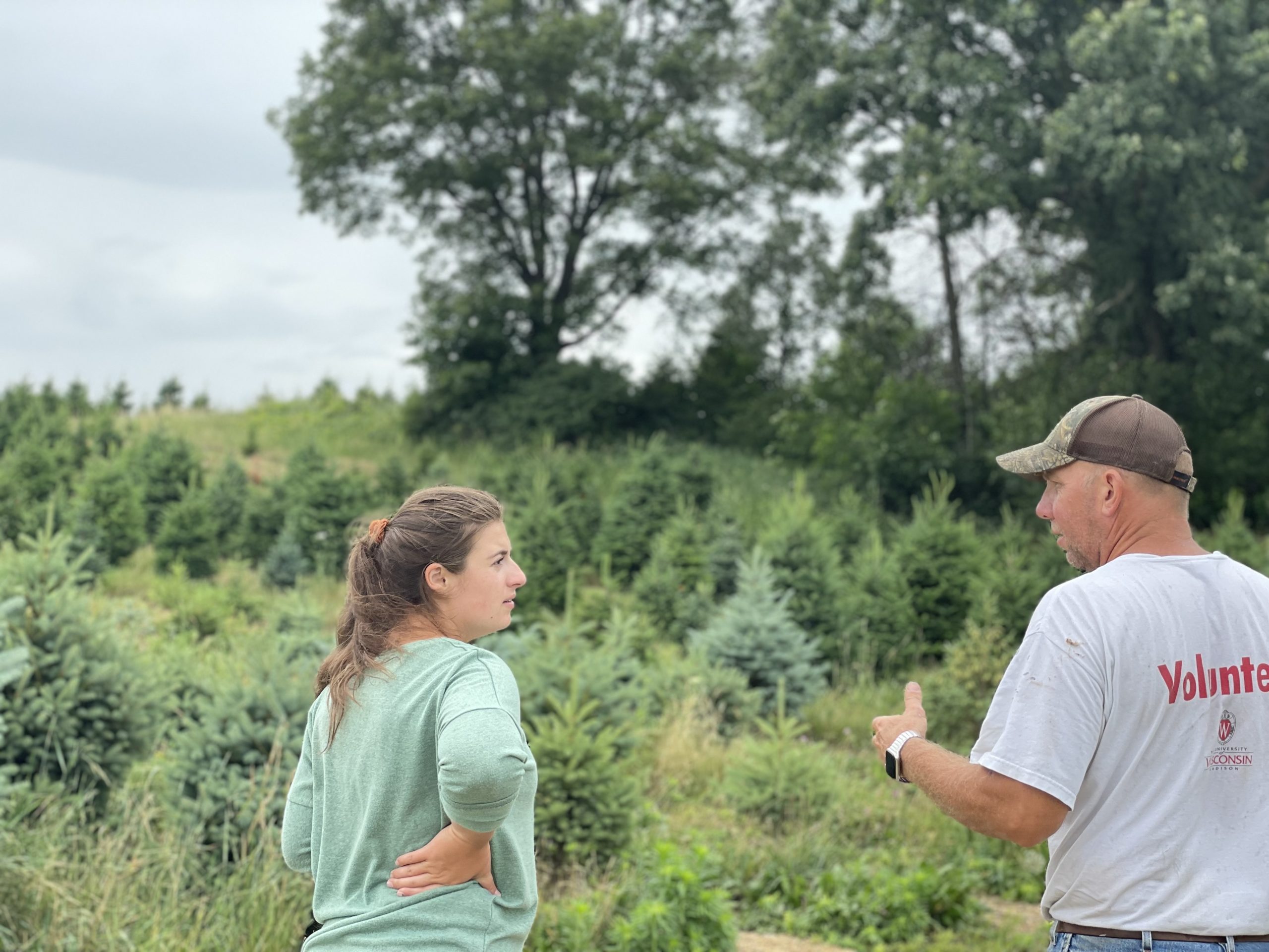 Christmas In June For Tree Farmers - Mid-West Farm Report