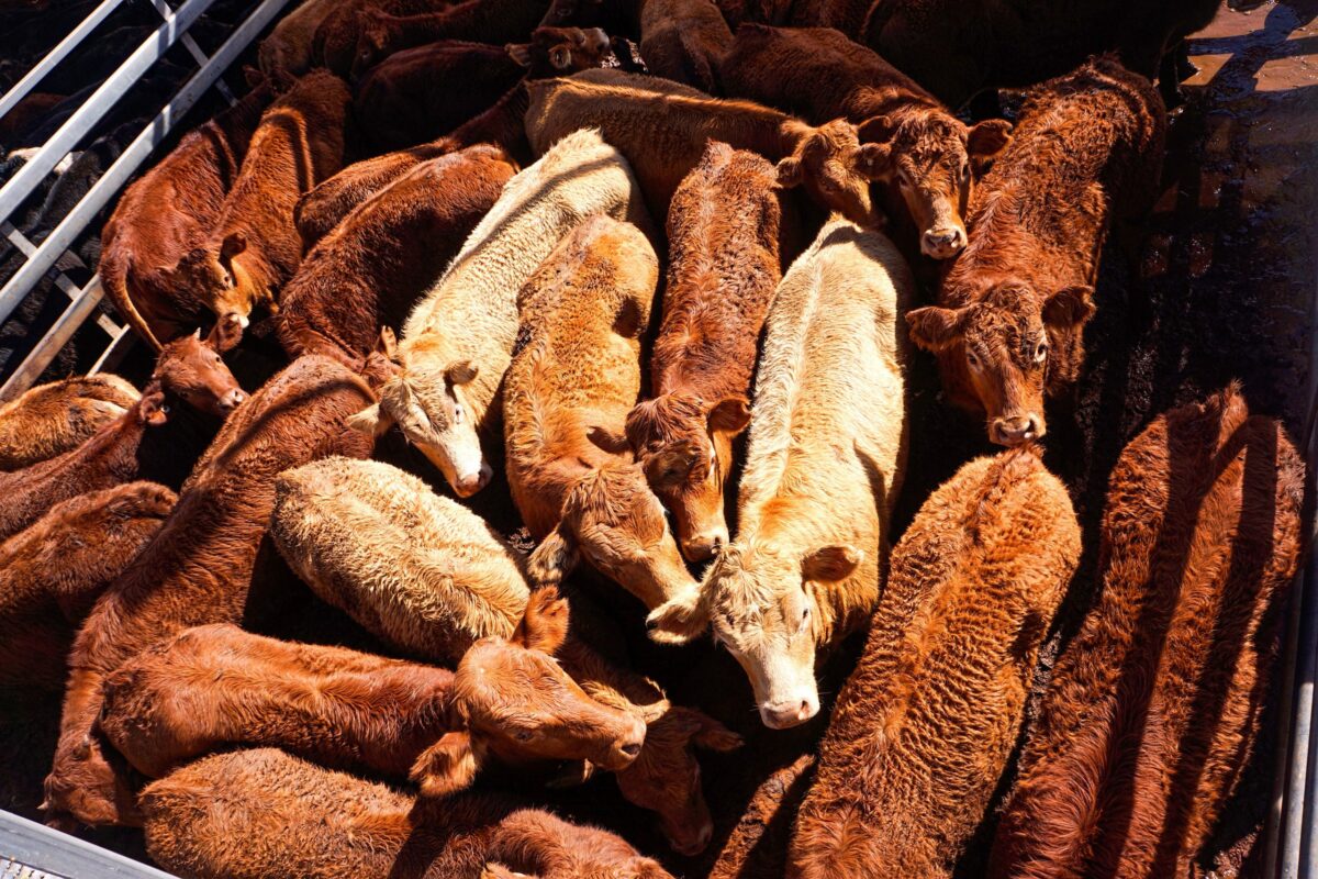 Annual CAFO workshop Registrations Open - Mid-West Farm Report