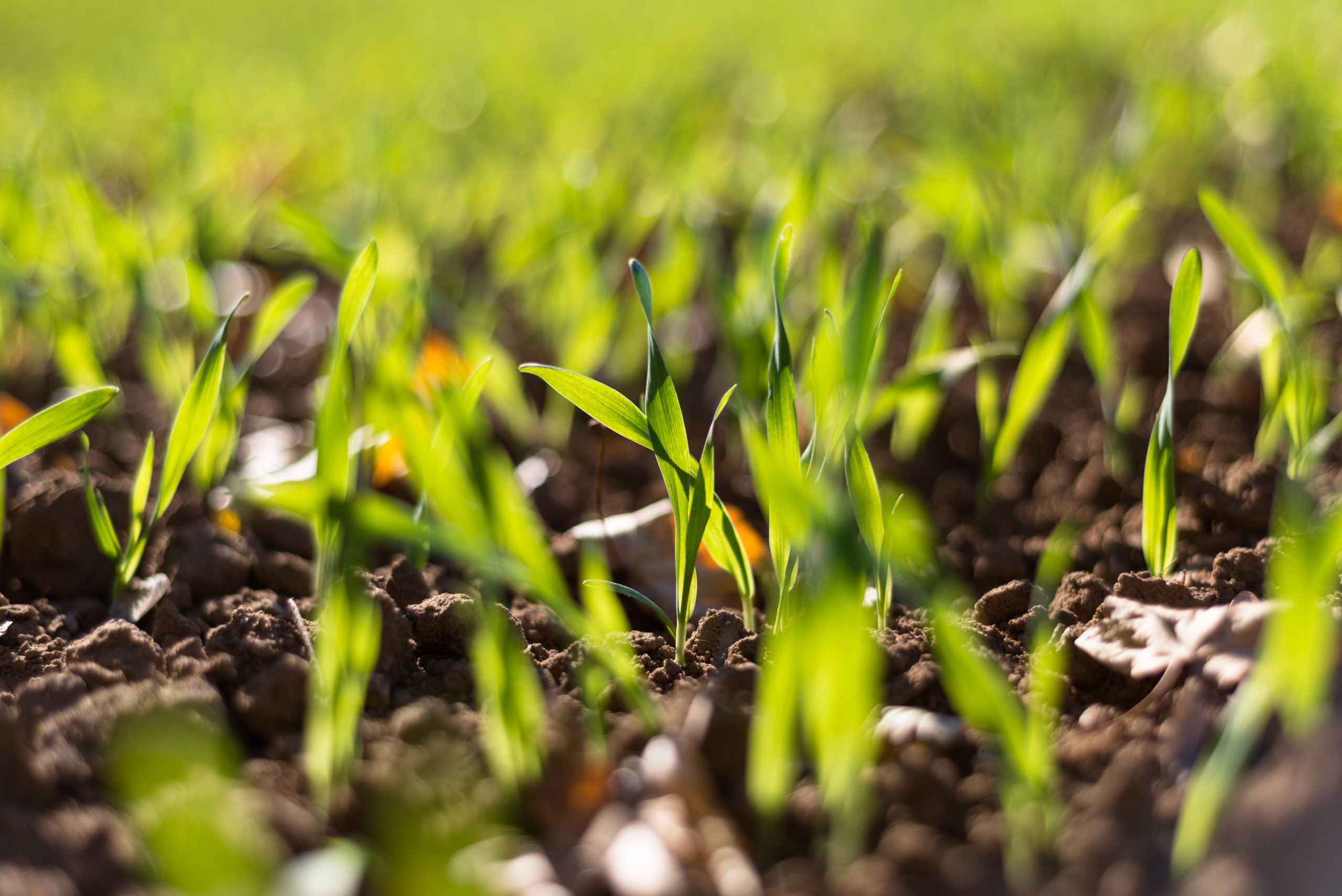 UW Field Day Emphasizes Technology - Mid-West Farm Report