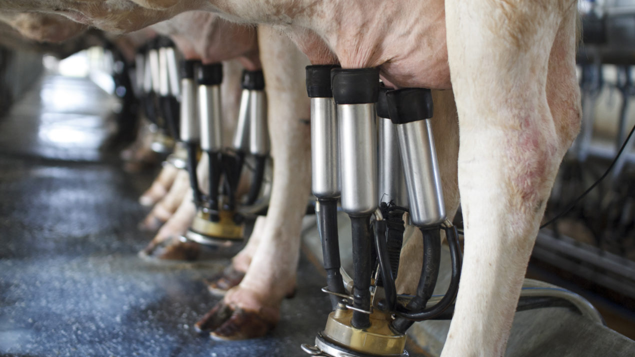 Steady Production and Shifting Demand Shape Fluid Milk’s Future - Mid ...