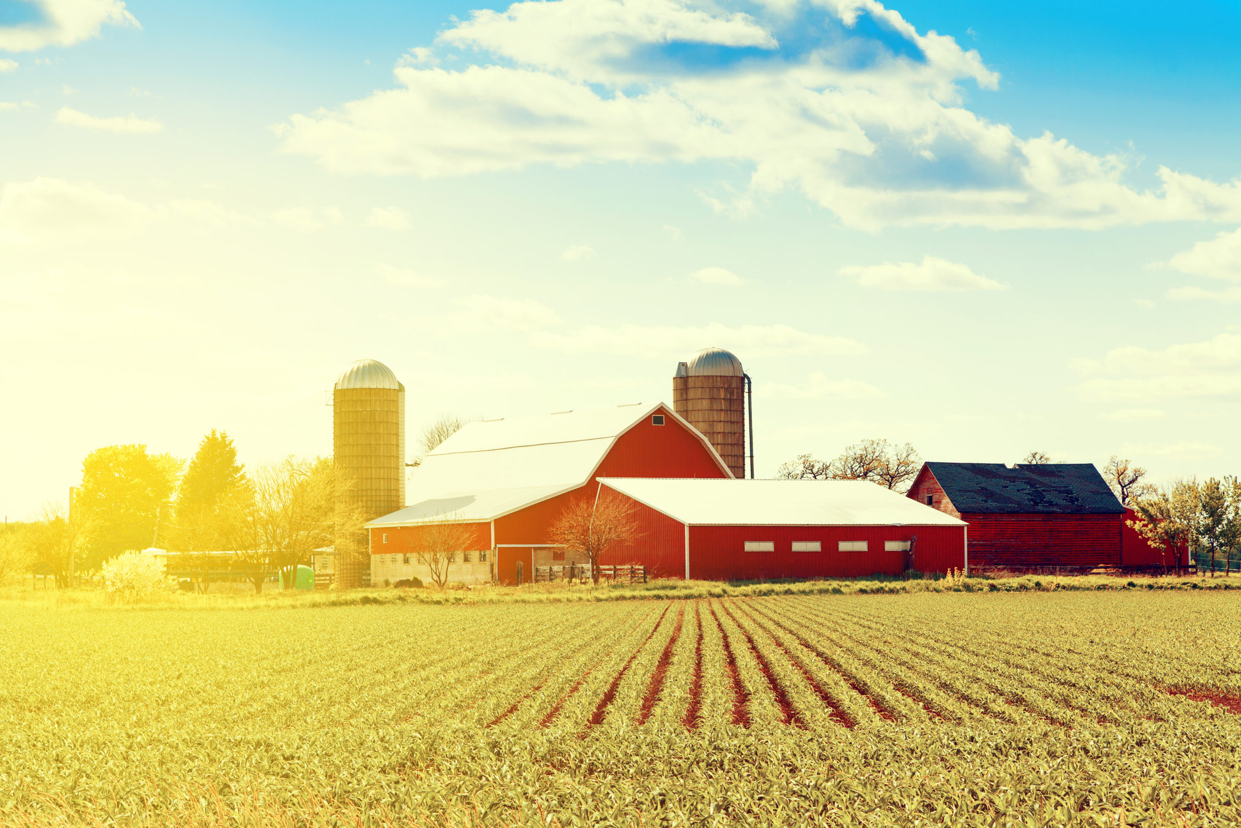 More Than 20,000 WI Farmers Receive Support - The Farm