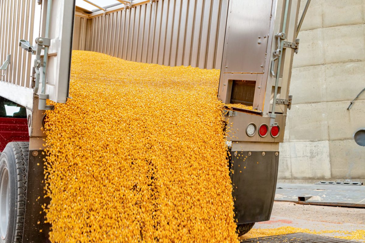 Corn Harvest Nearly Three-Quarters Done - Mid-West Farm Report