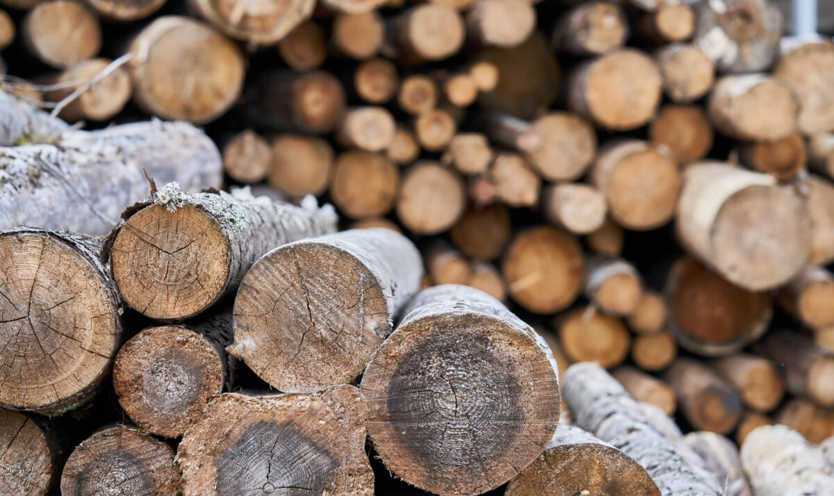 Prevent the Spread of Forest Pests – Don’t Move Firewood - Mid-West ...