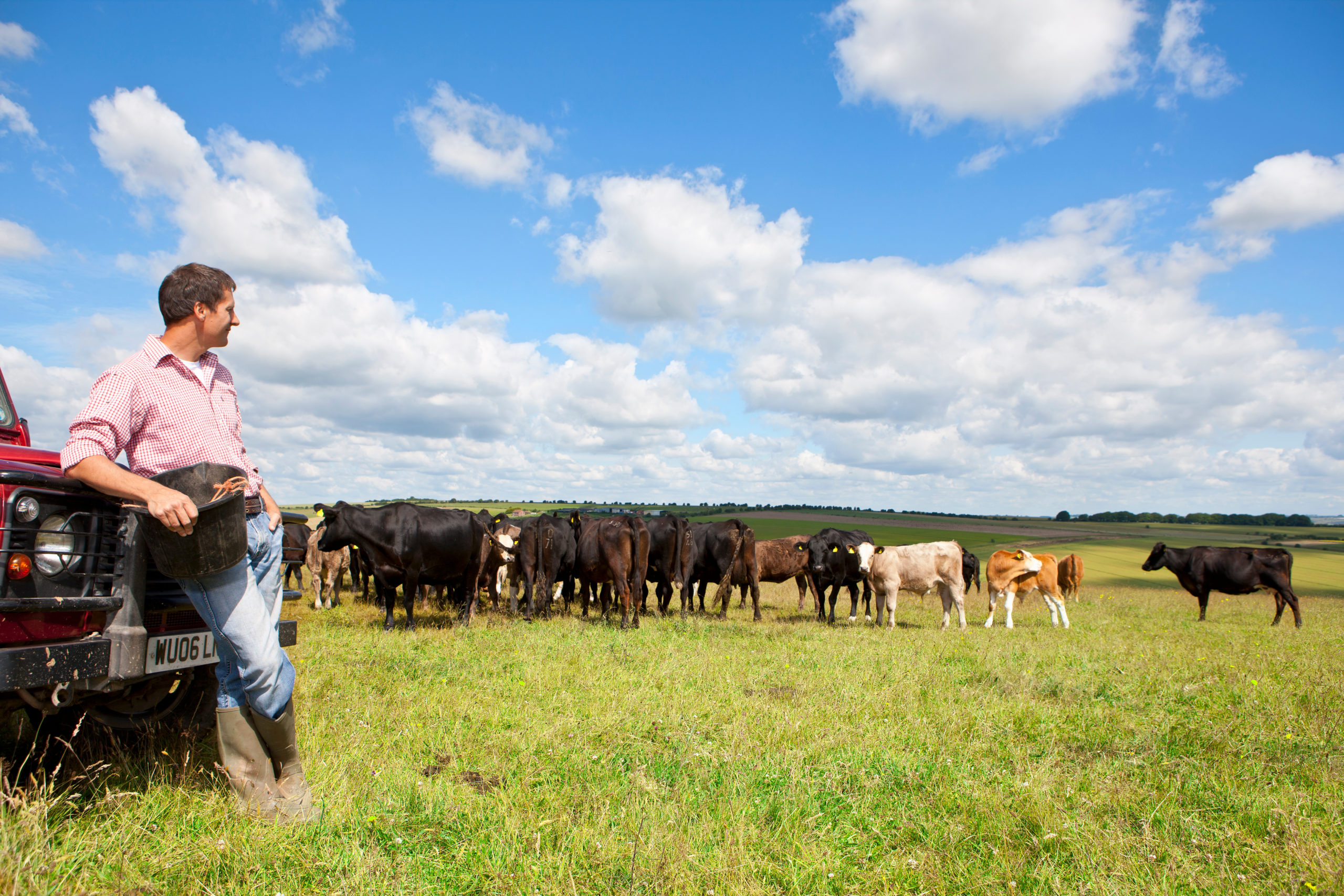 Wisconsin Beef Council Searches For Grassroots Advocates - Mid-West ...