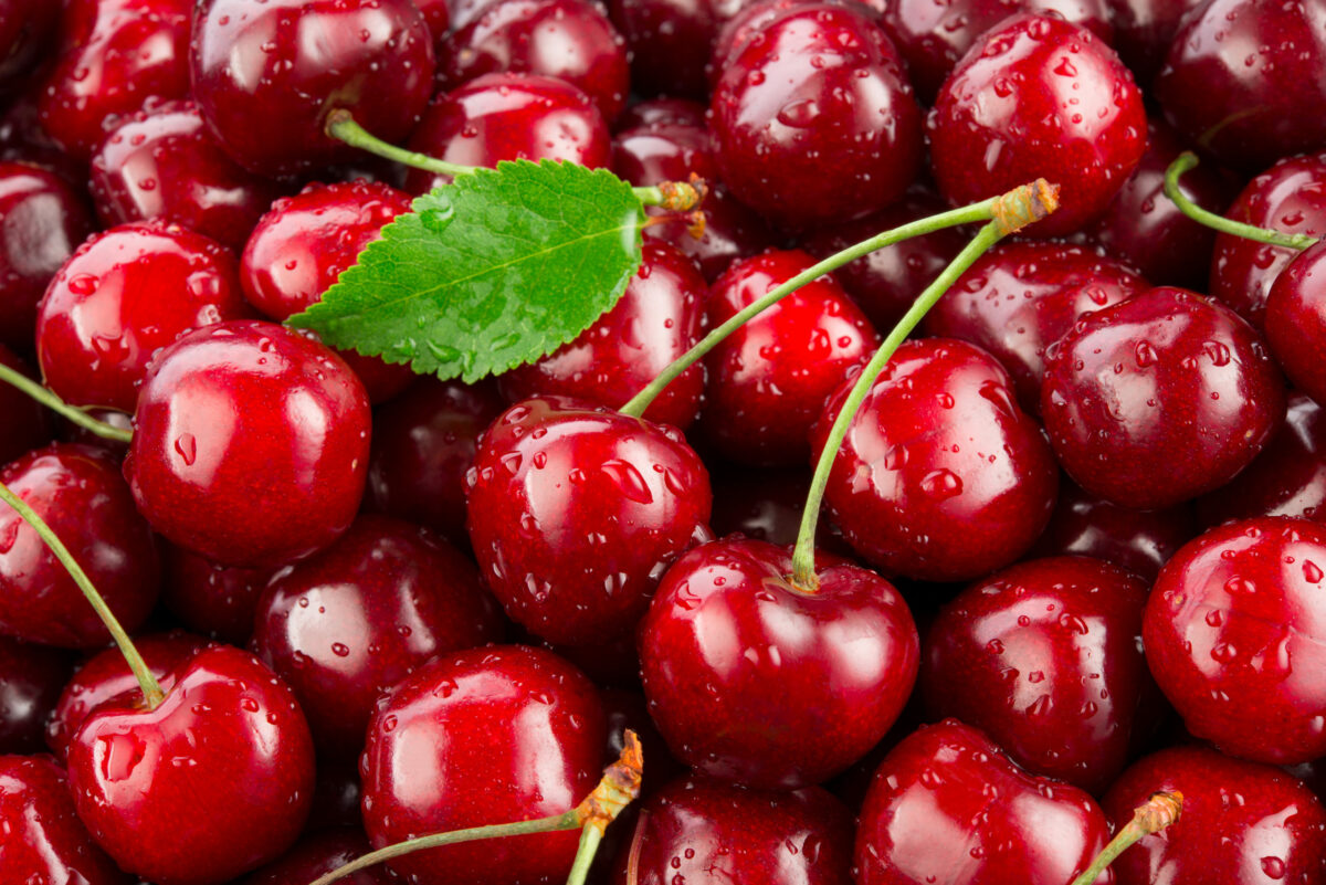 Elections Are Open For The Cherry Board - Mid-West Farm Report