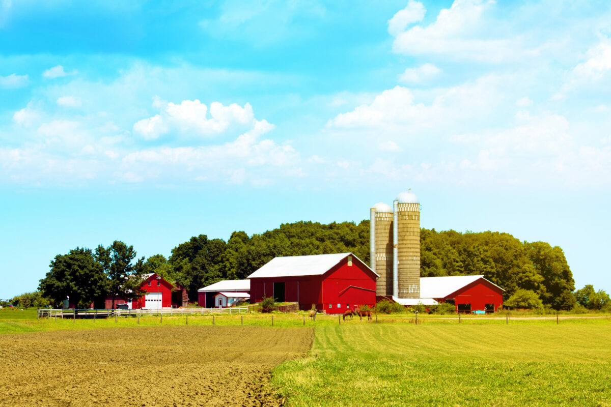 No Change In Wisconsin Farm Numbers - Mid-West Farm Report