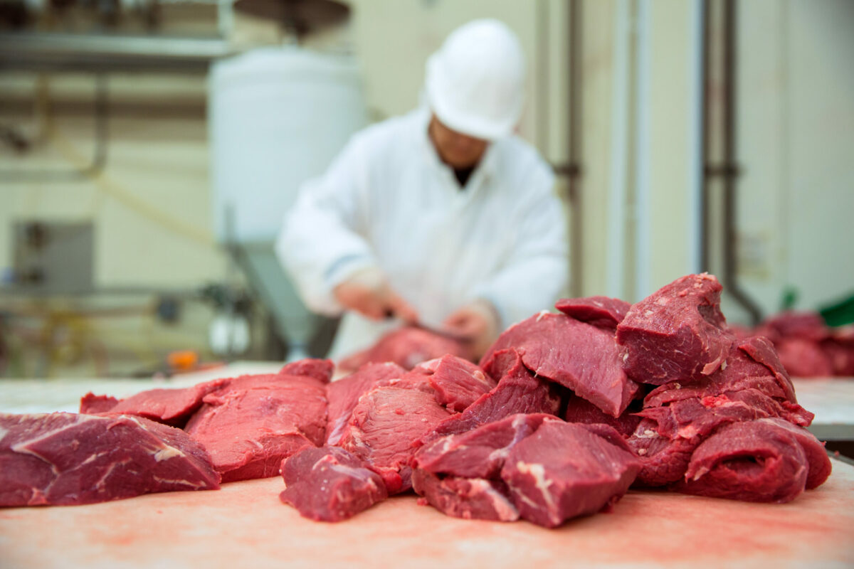 Nine Wisconsin Meat Processors See Support - The Farm