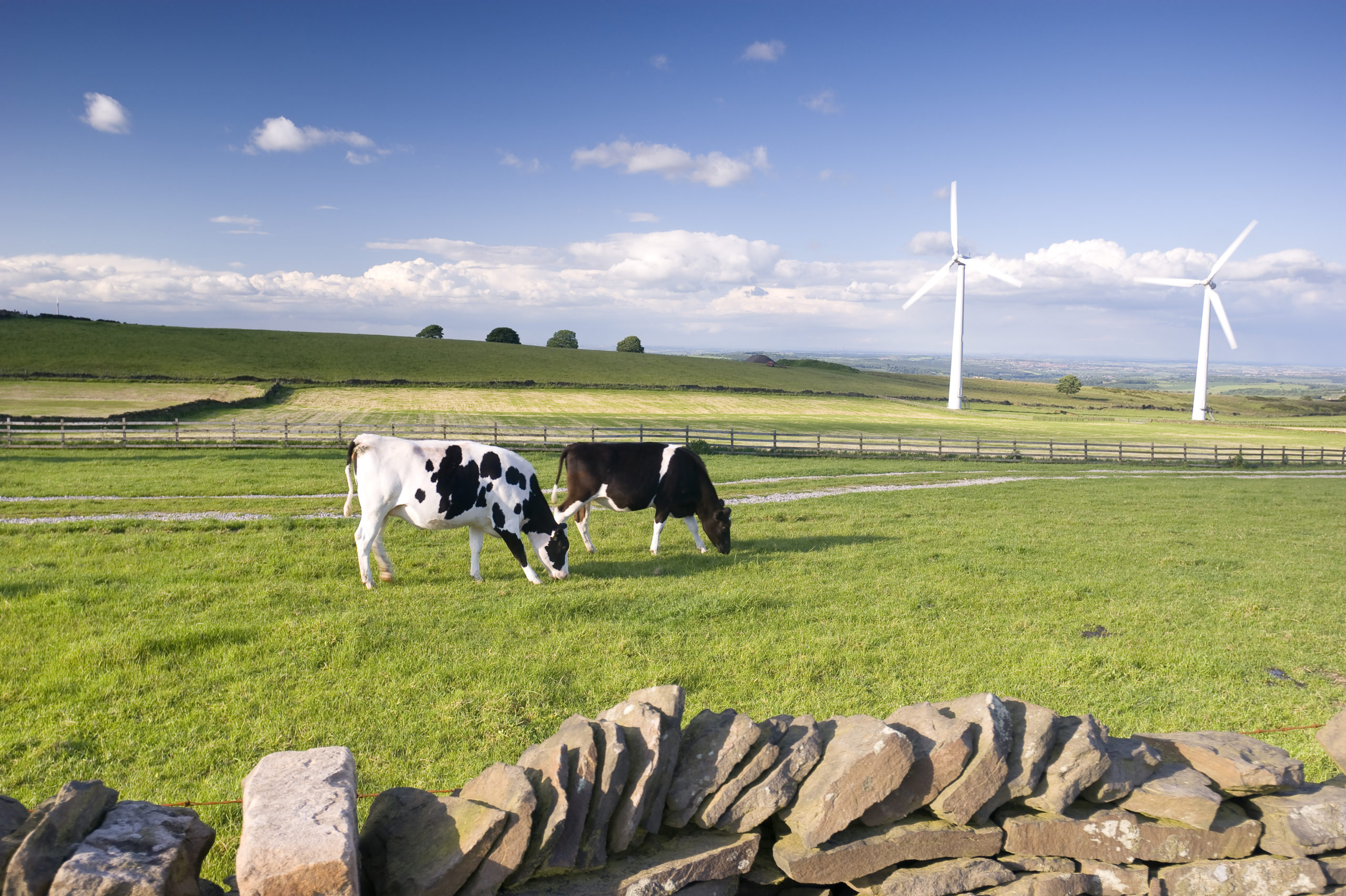 Tour Highlights On-Farm Conservation - Mid-West Farm Report