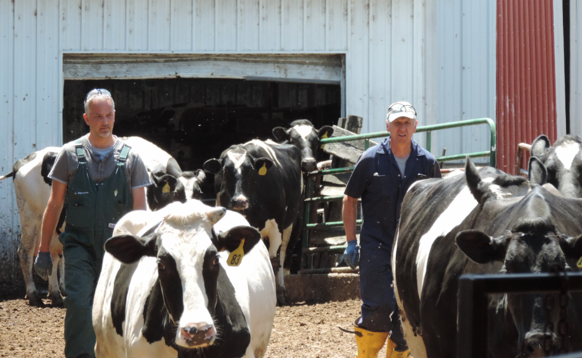 Visit & Learn From Two Dairies - Mid-West Farm Report