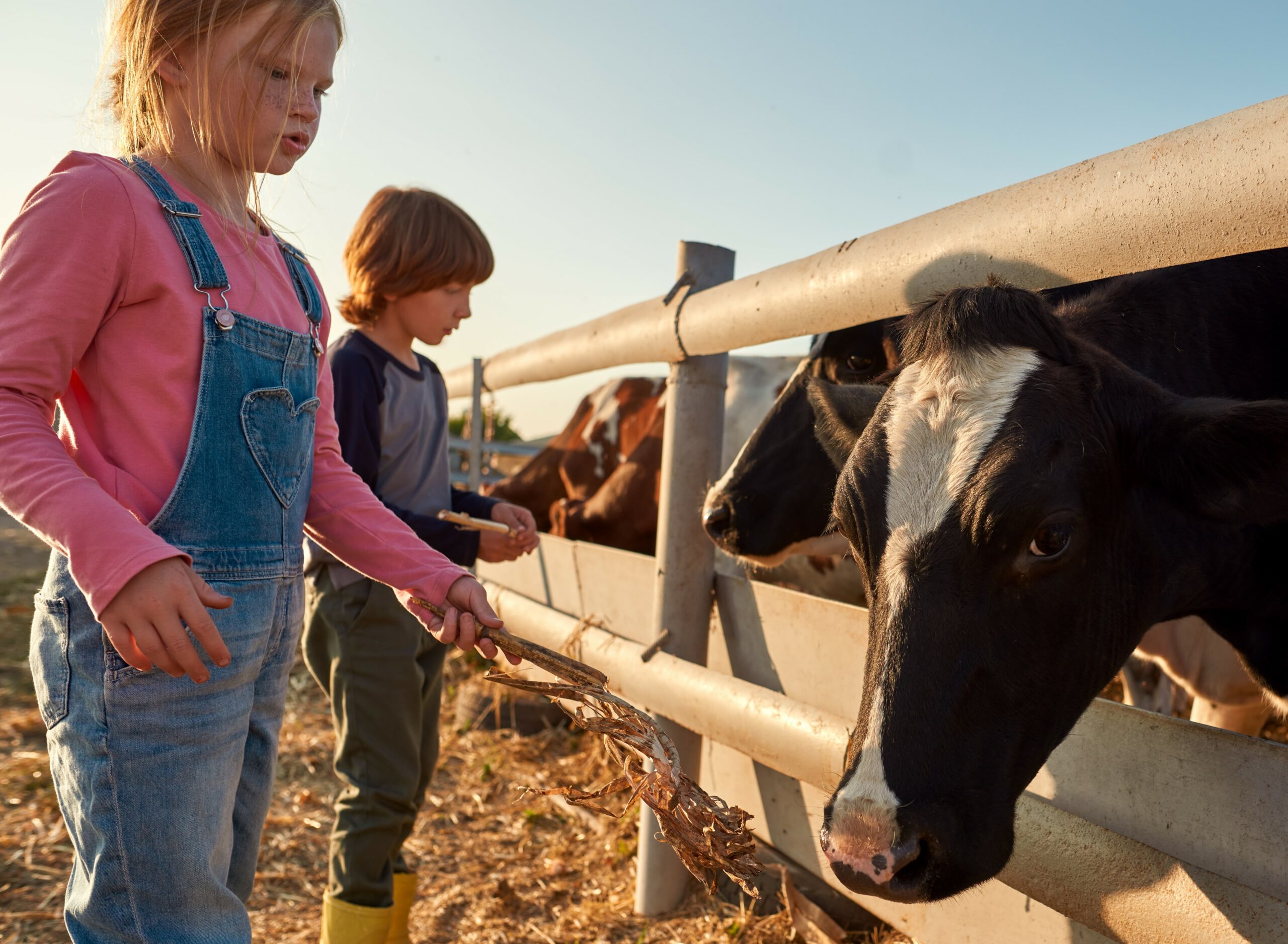 Farm Kid Paradox: Bridging the Gap - Mid-West Farm Report