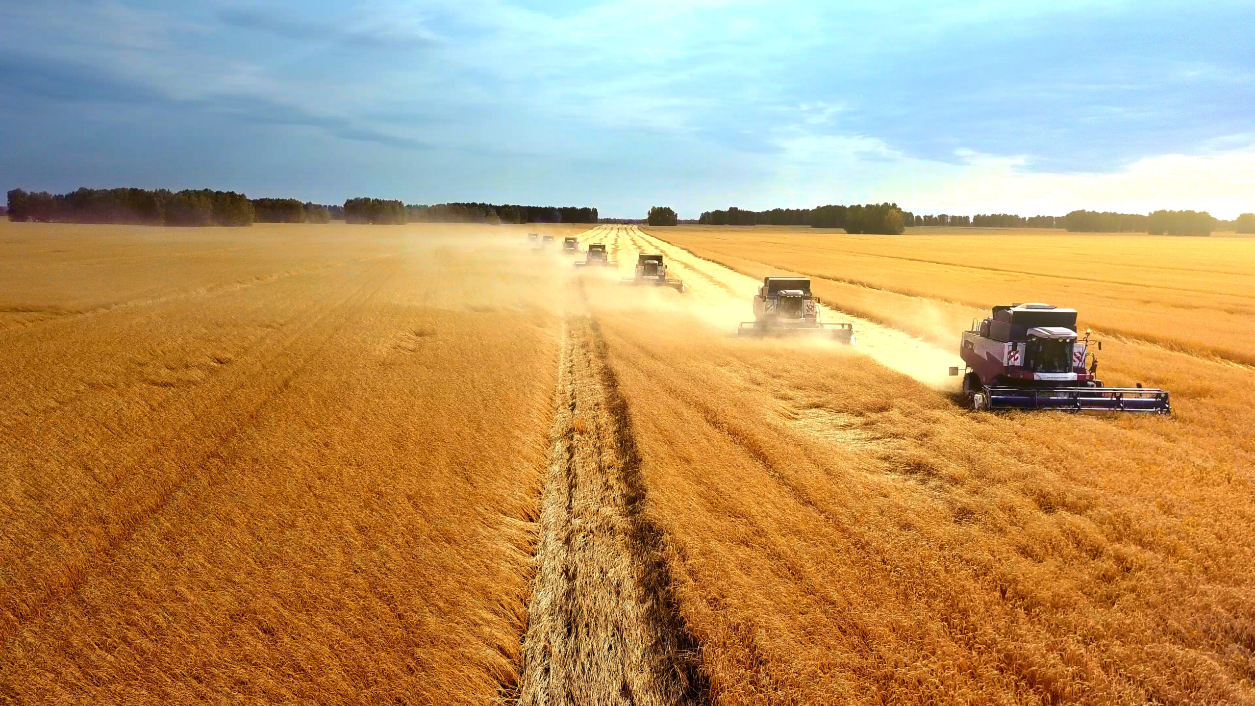Wheat Harvest Going Strong - Mid-West Farm Report