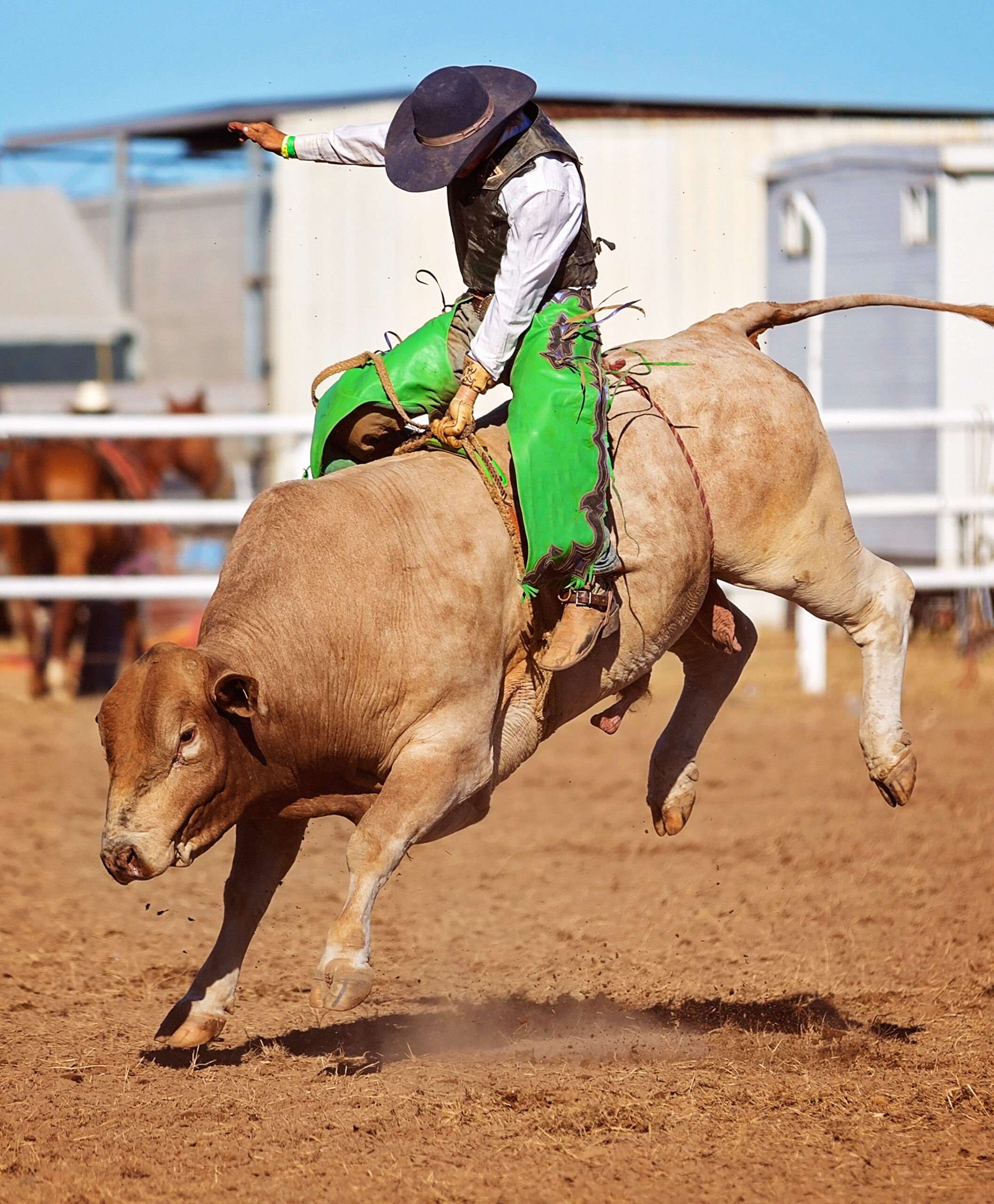 Raising Rodeo Stock Takes Special Care - Mid-West Farm Report