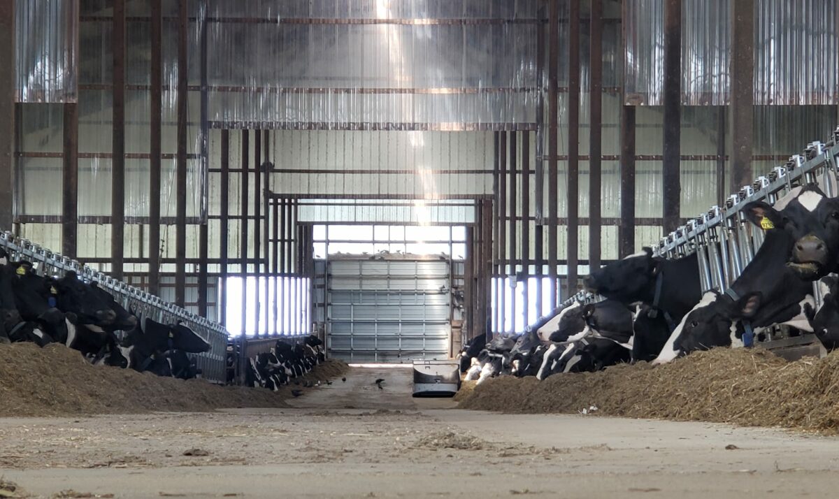 Kewaunee County Ag-Career Day is Back - Mid-West Farm Report