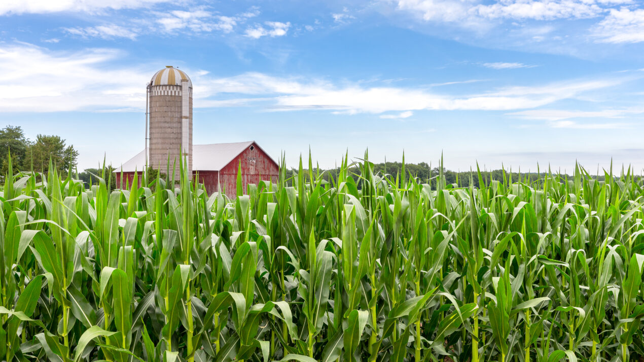 A Look At Cropland Rent By County - Mid-West Farm Report