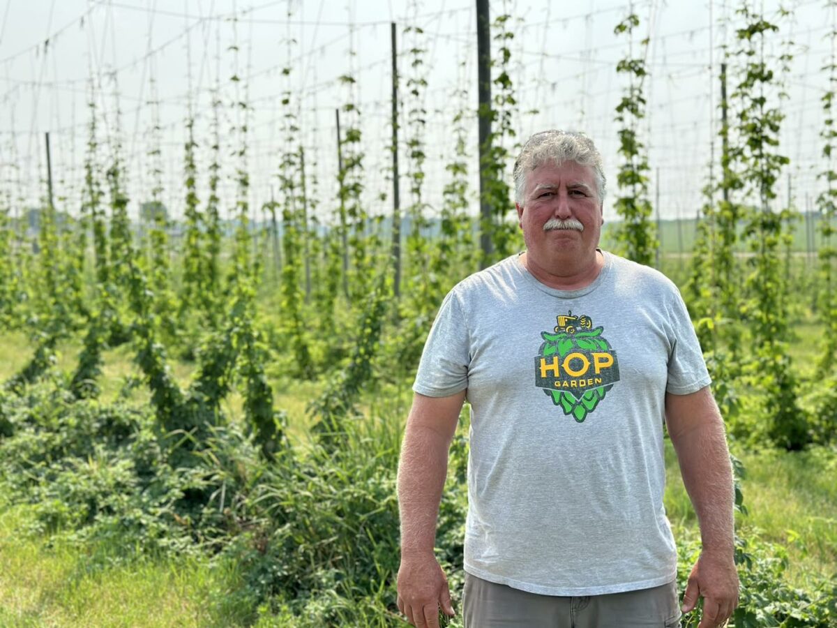 Hop Yard Deals With Drought, Too - Mid-West Farm Report