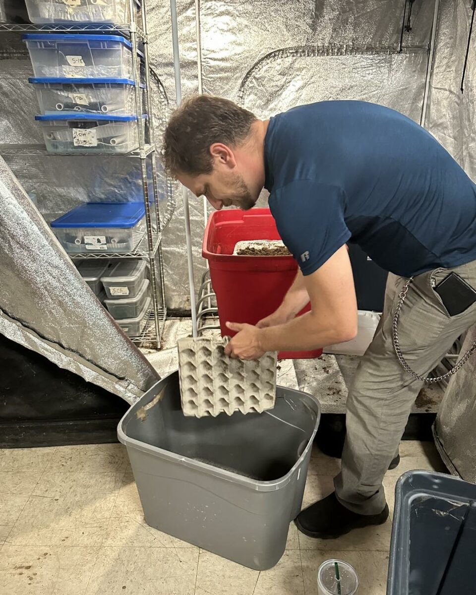 Insect Farming & The Appetite For Bugs - Mid-West Farm Report