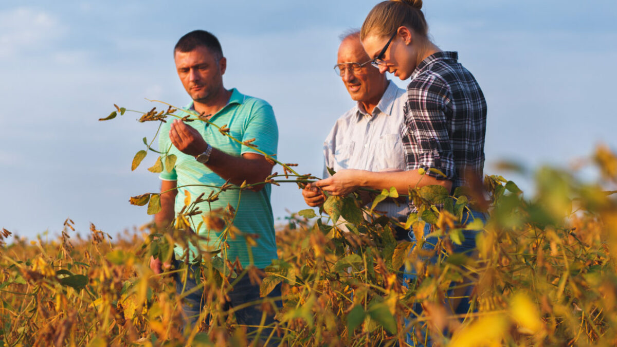 Research Stations Announce Field Days - Mid-West Farm Report