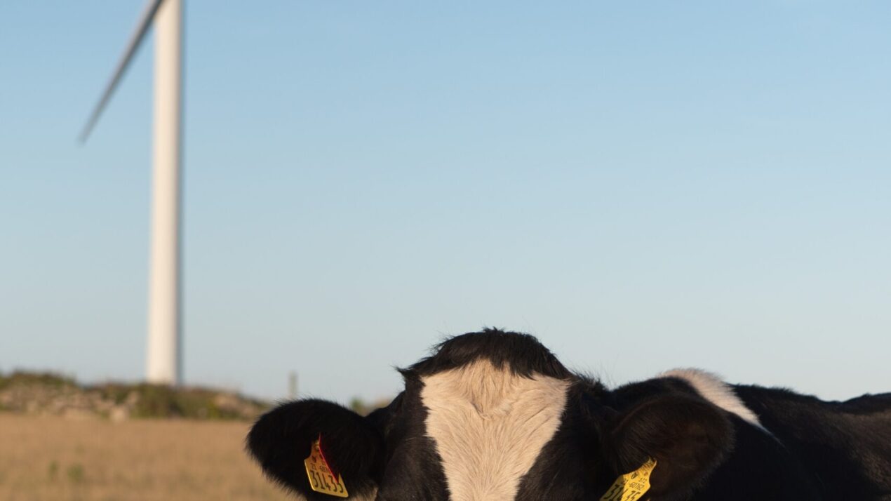 Wisconsin's Wind Potential - Mid-West Farm Report