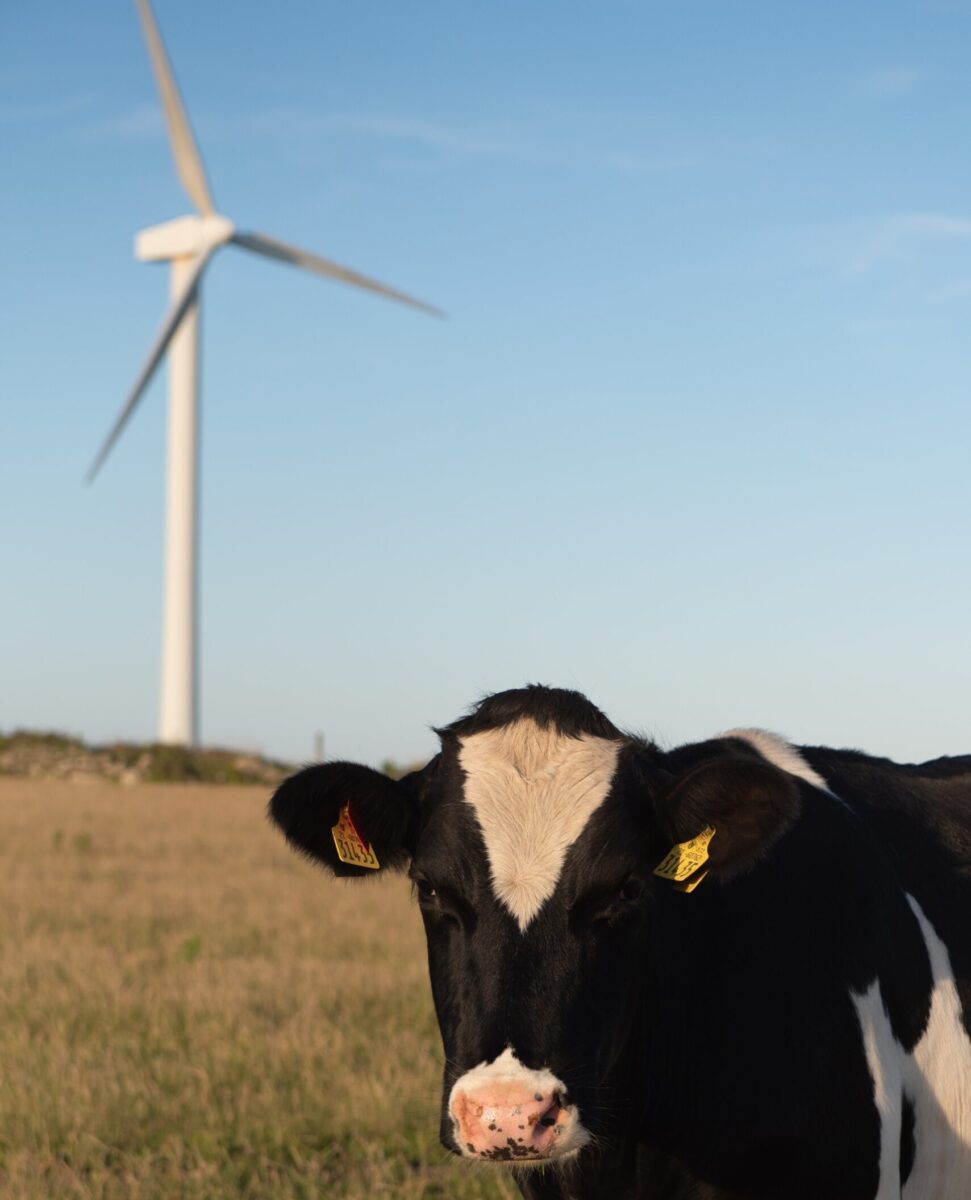 Wisconsin's Wind Potential - Mid-West Farm Report
