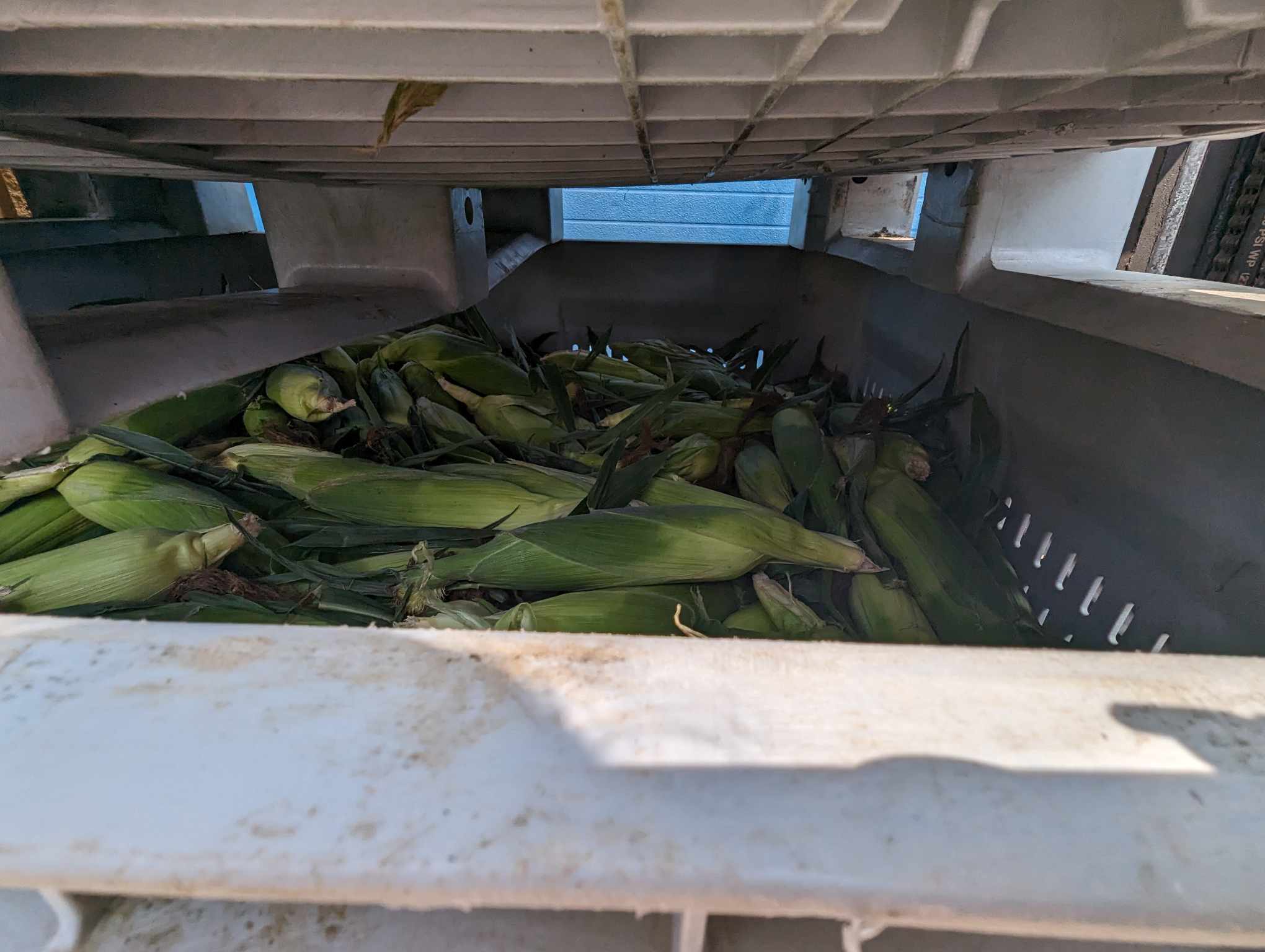 Roasted Corn Stand A Staple At The State Fair - Mid-West Farm Report
