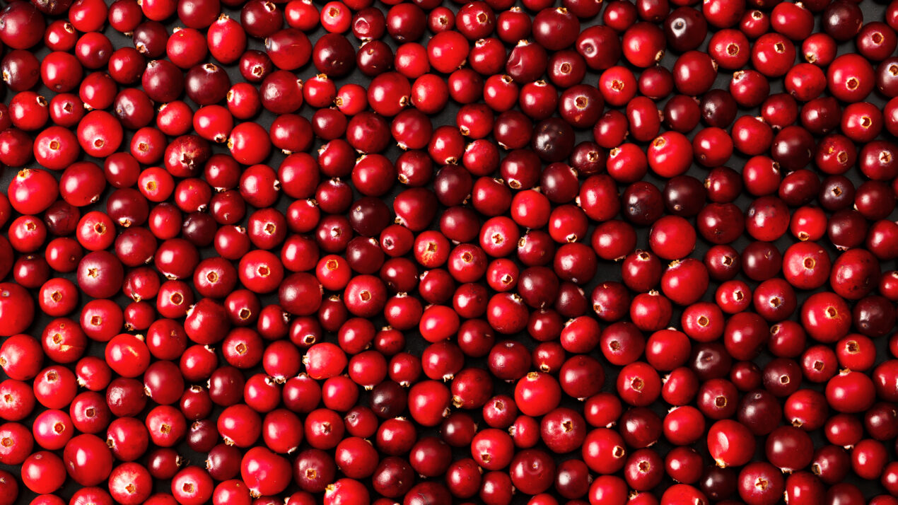 State Expected To Produce 61% of U.S. Cranberry Crop - Mid-West Farm Report