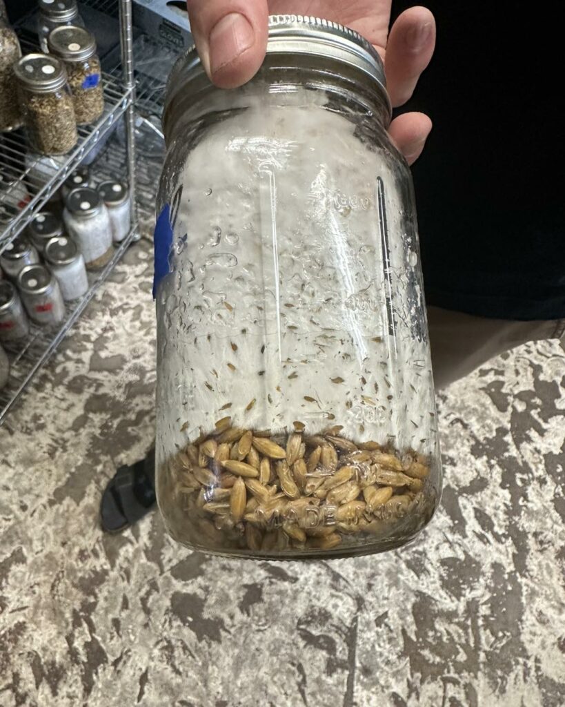 What Does It Take To Be A Mushroom Farmer? - Mid-West Farm Report