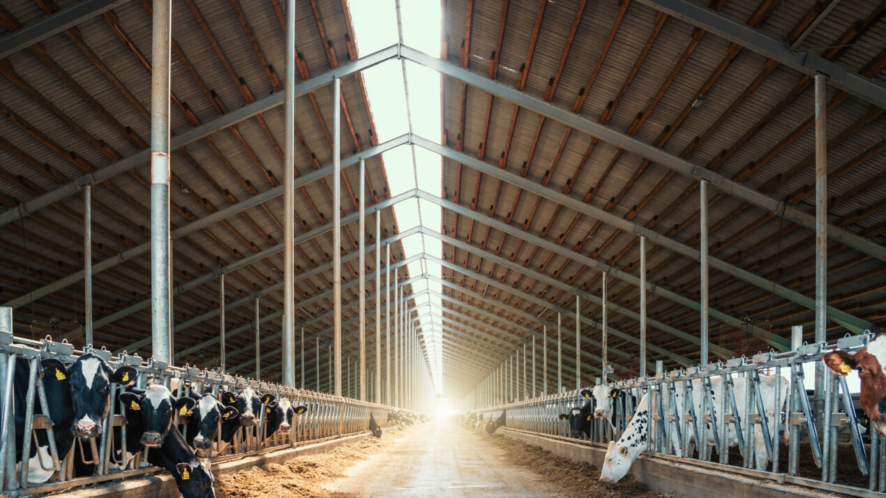 Tools That Prioritize Animal Welfare - Mid-West Farm Report