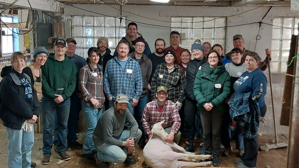 Full Classroom (Barn) For Sheep Shearing School - Mid-West Farm Report