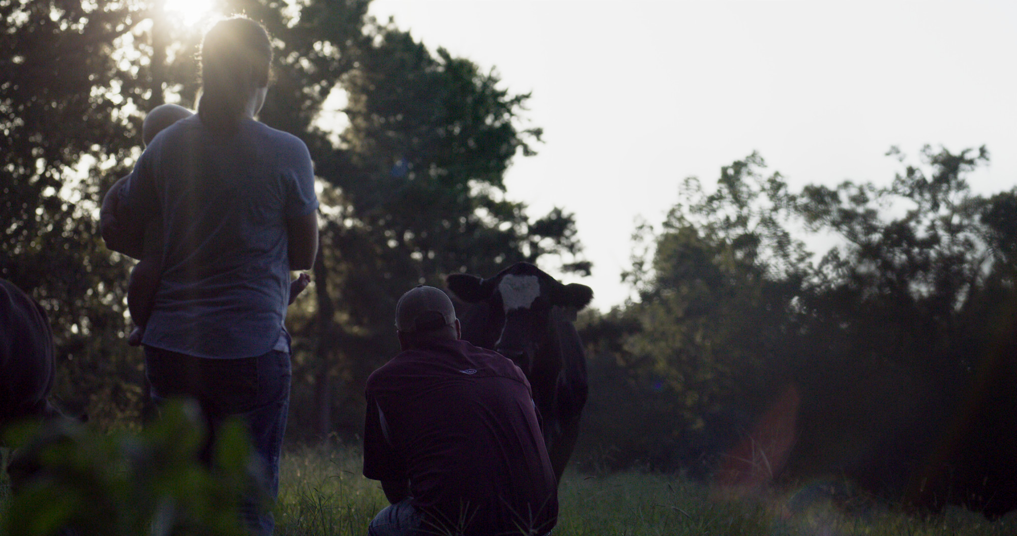 Here's The Plan To Celebrate Beef Month - Mid-West Farm Report