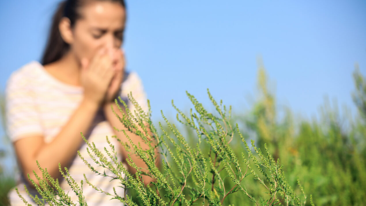The Ins & Outs Of Seasonal Allergies - Mid-West Farm Report