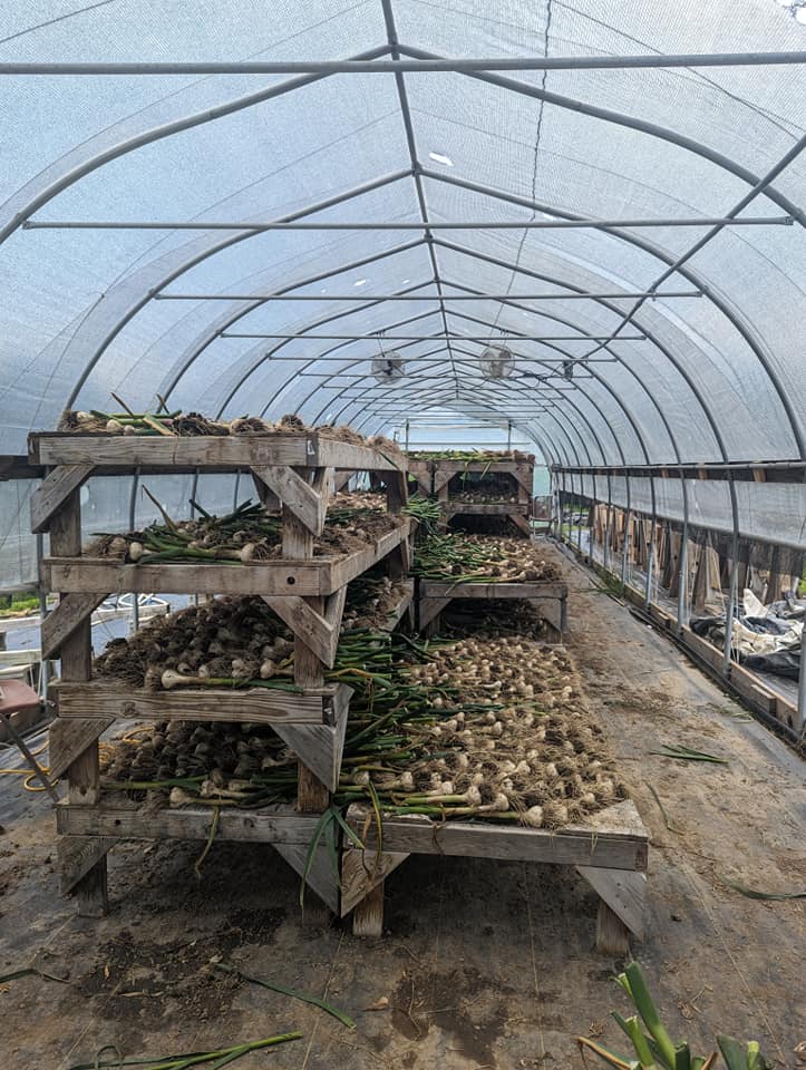Transitioning from CSA: Troy Farm's New Path - Mid-West Farm Report